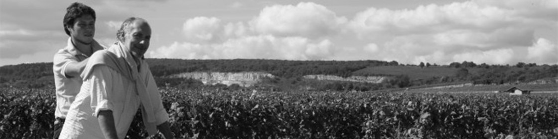 Domaine Henri Boillot: Burgundy, France
