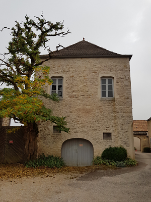 Simon Colin: Burgundy, France